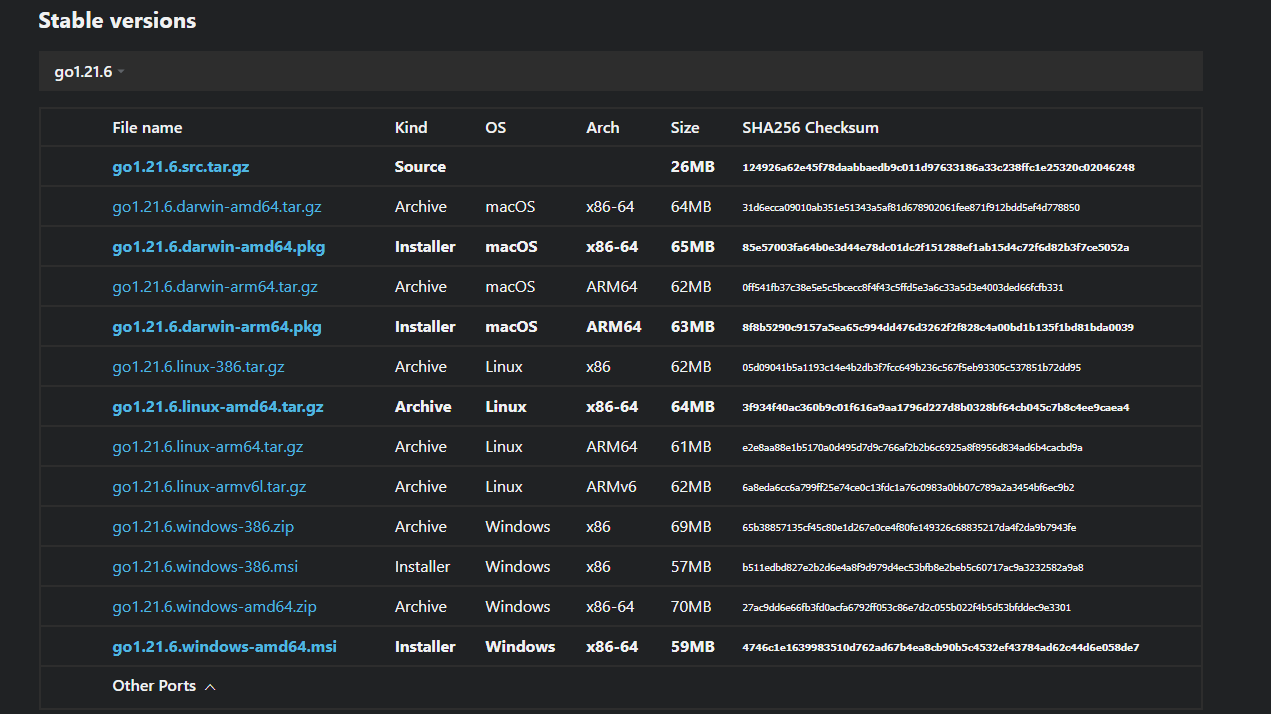 Install Golang on Windows [Step-by-Step] - Jumpbox